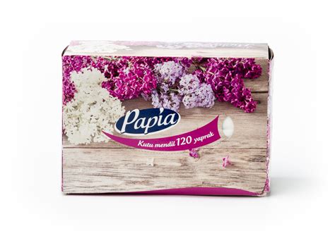 Papia კოლოფიდან ამოსაღები ხელსახოცი 2 ფენა 120 ც Veli Store