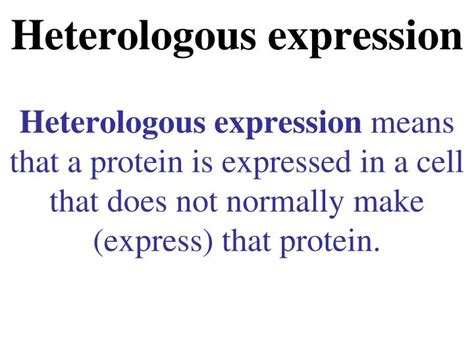 Ppt Heterologous Expression Powerpoint Presentation Free Download