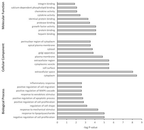 Nanomaterials Free Full Text Polystyrene Nano And Microplastic Particles Induce An