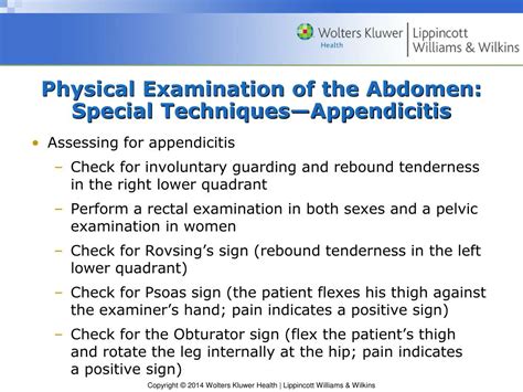 Ppt Chapter 11 The Abdomen Powerpoint Presentation Free Download