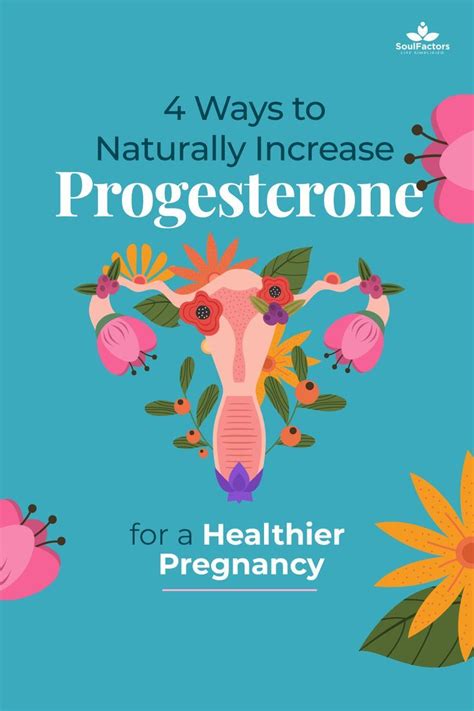Ways To Naturally Increase Progesterone For A Healthier Pregnancy In Increase