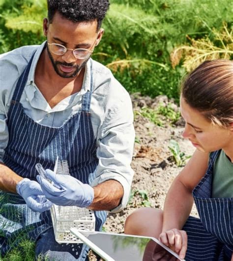 Factorial Based Industry Of Oil Is Getting New Octopus Subsea Tooling