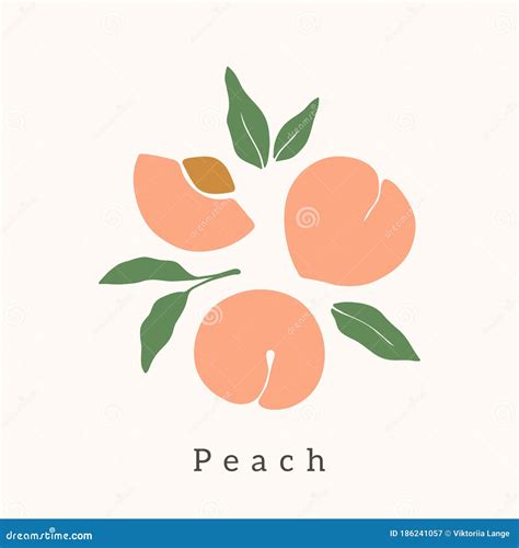 Stylish Peach Vector Design Contemporary Art Print Stock Vector Illustration Of Element
