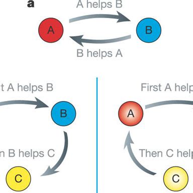 Direct And Indirect Reciprocity A Direct Reciprocity Means That A