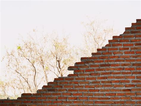 A Brick Wall Being Built Stock Image Image Of Industrial 211679217