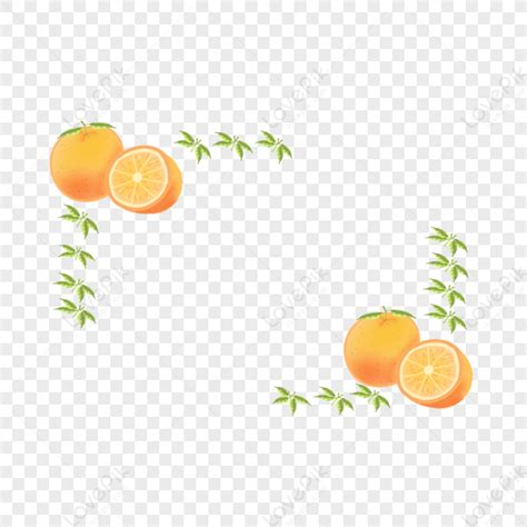 Orange Vector Border At Marion Akers Blog