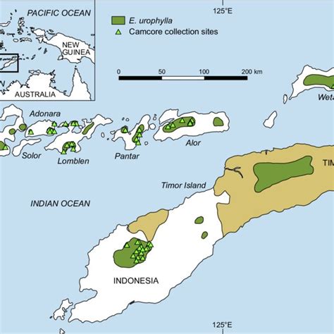 Geographic Range Of Eucalyptus Urophylla With Camcore Collection Sites