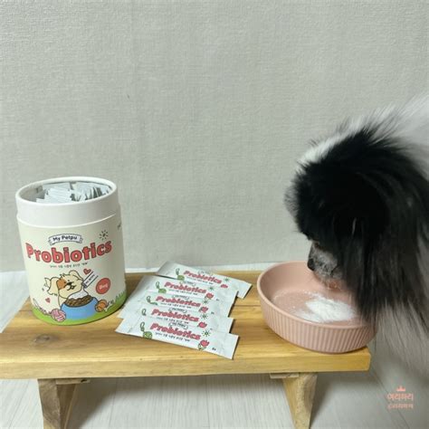 강아지 유산균 추천 애견 변비 설사는 마이펫푸로 종결 네이버 블로그