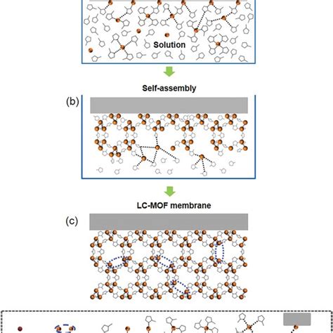 Structure Of Dzif‐8 Mof Particle A Schematic Structure B