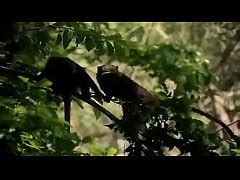 Indian Actress Sex Video Hollywood Actress Fuck Xxx Mobile Porno Videos Movies Iporntv Net