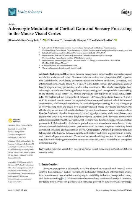 Pdf Adrenergic Modulation Of Cortical Gain And Sensory Processing In