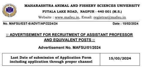 Masfu Recruitment 2024