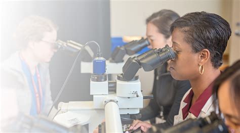 Pediatric Pathology