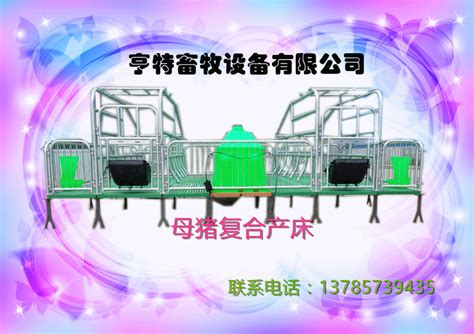 亨特厂家直销养猪专用母猪分娩产床双体 机械设备批发网