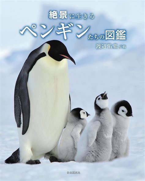 写真満載のペンギン図鑑渡辺佑基監修絶景に生きるペンギンたちの図鑑発売 ペンギンポスト