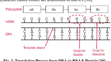 Table 1 From Data Encryption In Communication Using Dna Sequences Semantic Scholar