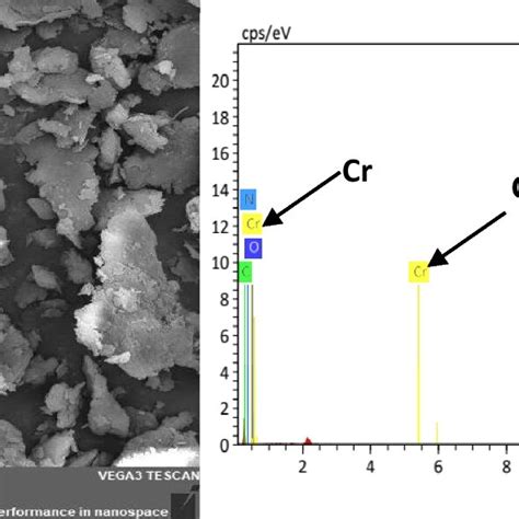 Sem Edx Result For Dye Loaded Asp Download Scientific Diagram