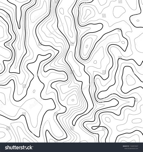Topographic Map Background Grid Map Contour Stock Vector Royalty Free Shutterstock