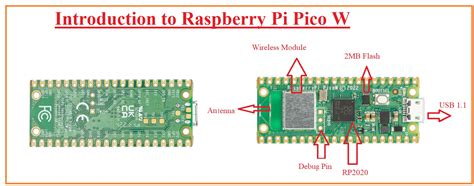 Raspberry Pi Pico And Pico W Pinout Guide Gpios Explained 57 Off