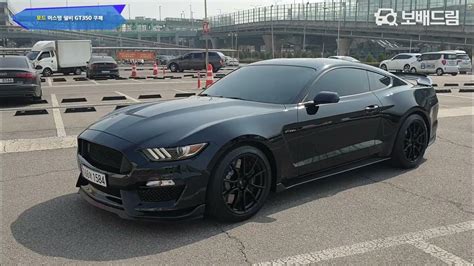 2019 포드 머스탱 쉘비 Gt350 쿠페 Youtube