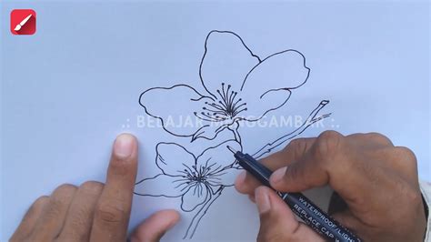 Detail Mewarnai Gambar Bunga Sakura Koleksi Nomer 41