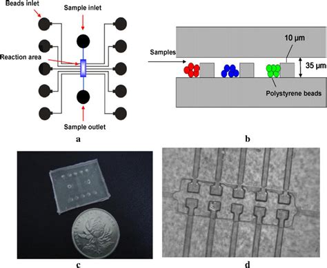 Microfluidic Chip With Microbead Array For Virus Dna Analysis A An