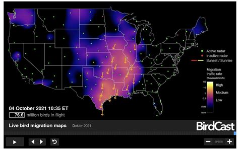 Tywkiwdbi Tai Wiki Widbee Bird Migration Heat Map