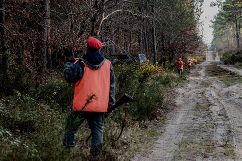 Un Chasseur Tué Par Une Balle Dun Confrère Au Cours Dune Battue Aux