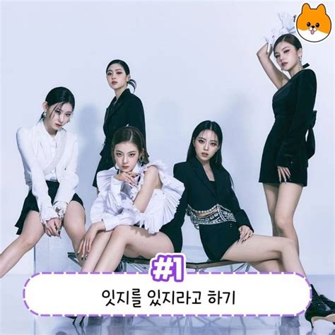 더쿠 아이돌 팬들 불편하게 만드는 방법 