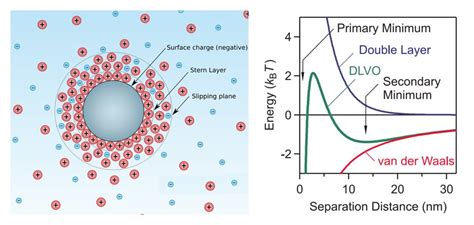 In The Left The Double Layer Formed Around Charged Colloidal