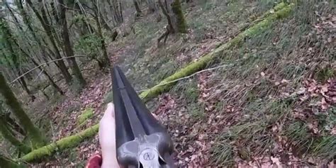 Vidéo Un sanglier boule comme un lapin après un tir au drilling