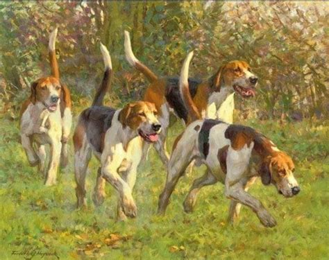 რუსული ჭრელი ანგლო რუსული მდევრები საქართველოში