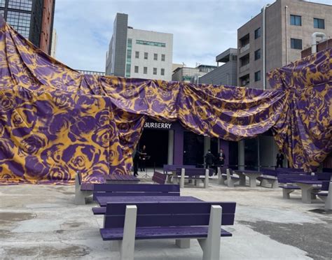 Here We Go [pop Up] 성수 버버리로즈 팝업스토어 Daum 카페