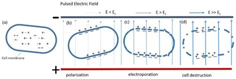 Processes Mdpi On Linkedin Editorschoice Openaccess Article