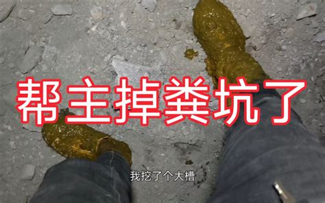 骑行西藏掉粪坑，大势已去。这辈子第一次掉粪坑 哔哩哔哩