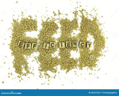 Concept Feed Conversion Ratio In Chicken Enzyme And Digestibility And