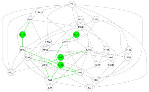Interactome Assisted Graph Re Seizing — Resizegraph • Semgraph