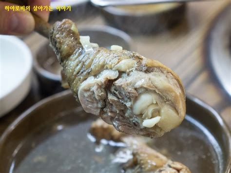 김제맛집금산사맛집김제토종닭옻닭옻백숙 큼직한 토종닭과 옻이 만나 끝내주는 맛의 옻백숙으로 다시 태어나는 가든식당 아
