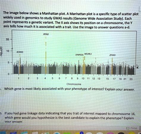 Solved The Image Below Shows A Manhattan Plot A Manhattan Plot Is A