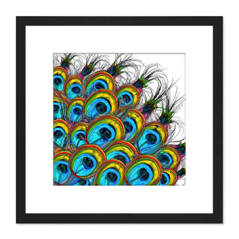 Wall Decor Using Peacock Feathers