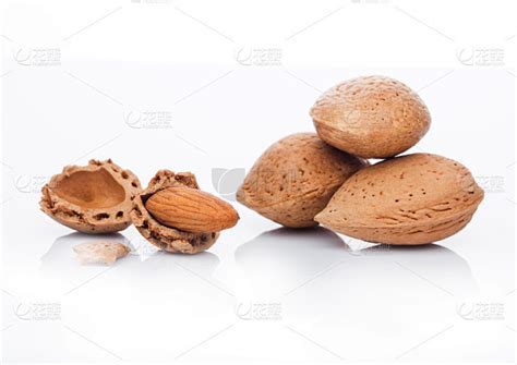 生杏仁，白色底带壳的坚果