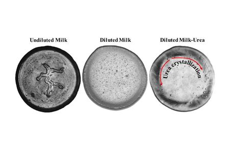 New Method For Detecting Adulterants In Milk Indian Scoops
