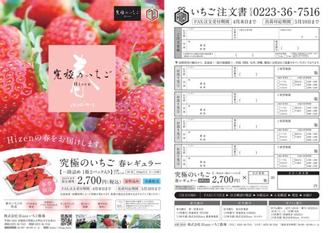 農業事業部 いちご施設園芸栽培販売 株式会社Hizen