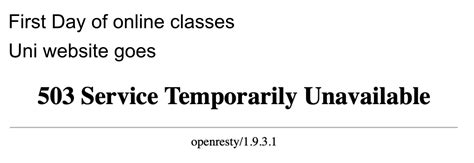 excited for this semester r programmerhumor