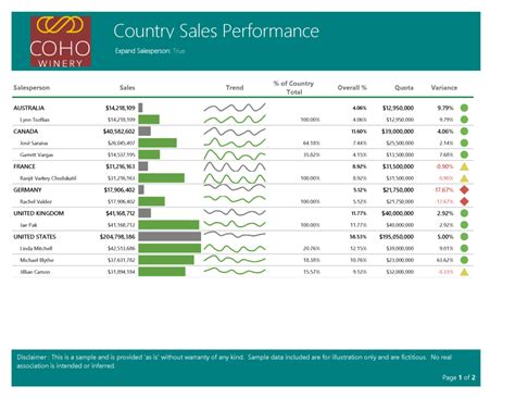 Power BI Paginated Reports BAS Technologies