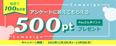 アンケートキャンペーン かごしまのキャッシュレスアプリ”payどん”