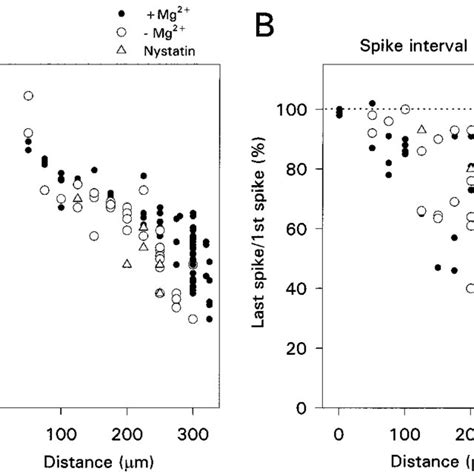 The Pattern Of Spike Backpropagation Is Not Affected By Wholecell