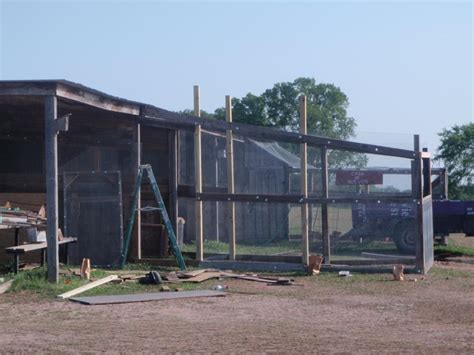 Three Sided Flight Pen Backyard Chickens Learn How To Raise Chickens