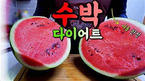 터질뻔했다 일주일 동안 수박 먹었습니다 Youtube