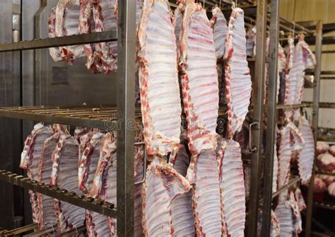Fresh Pork Carcasses Hang On Hooks At The Meat Processing Plant Stock